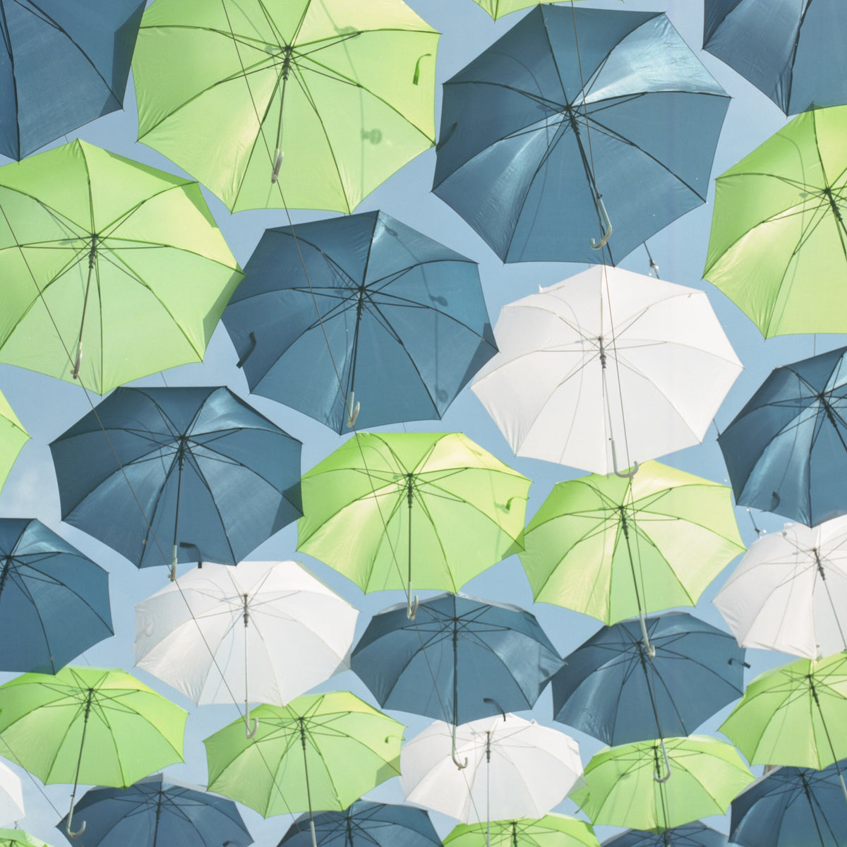 Series LLCs: Explained – The Incorporators